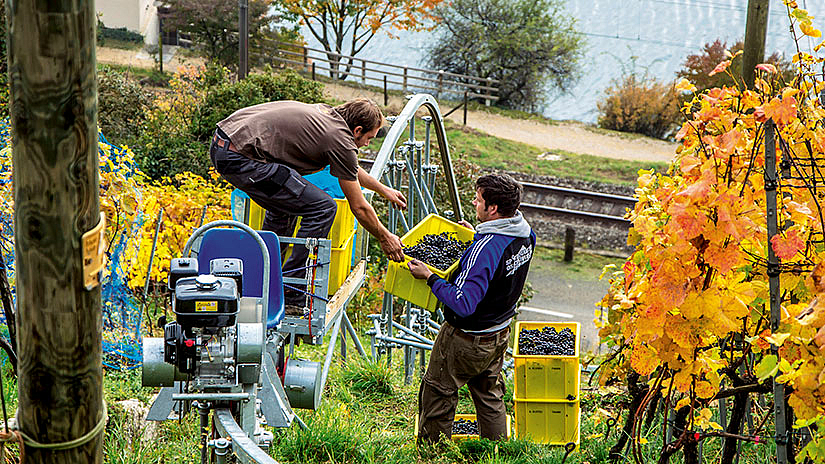Doppelmayr Seilbahn GmbH - Monorack